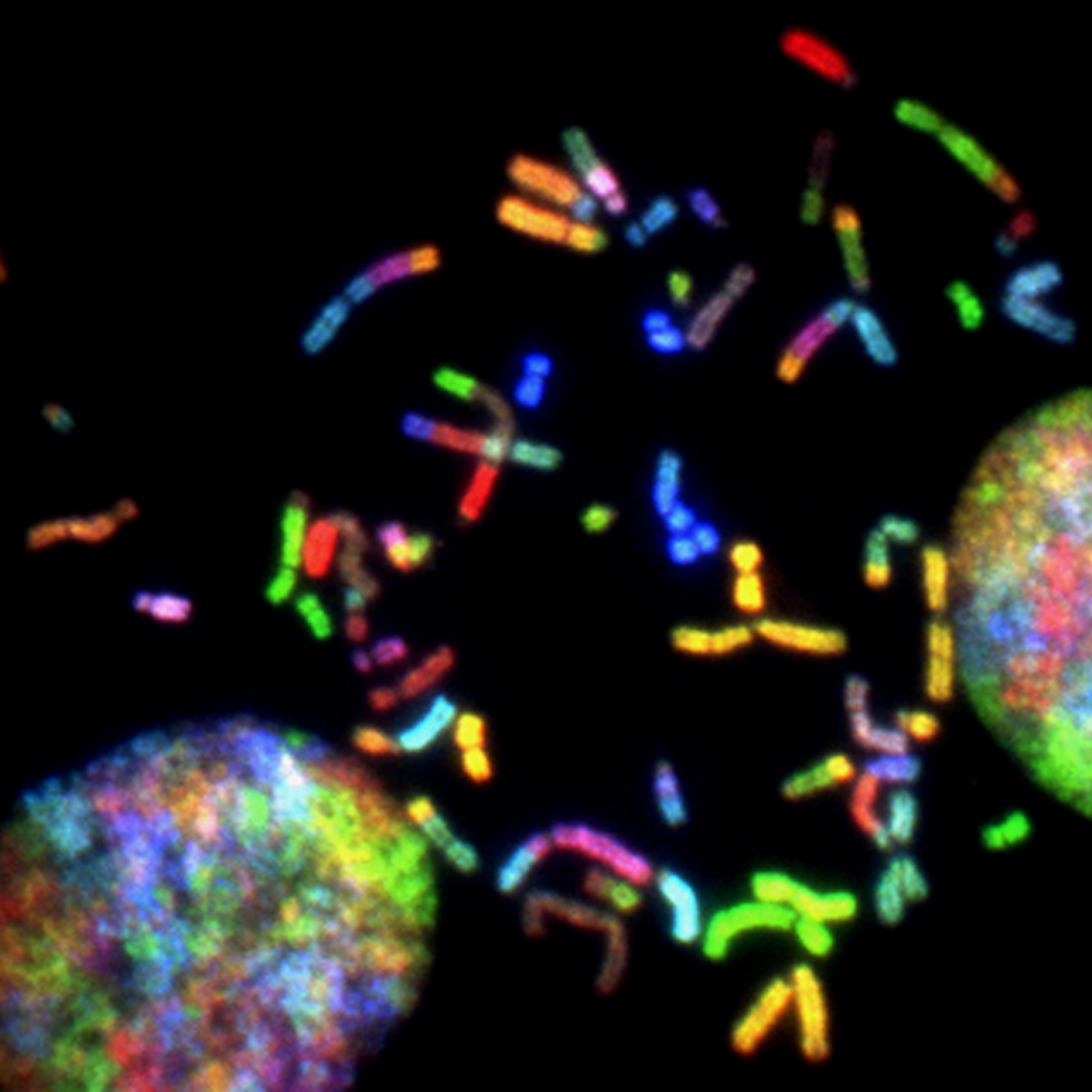 The Degeneration of the Genome and How Genetics Points to Adam and Eve ...