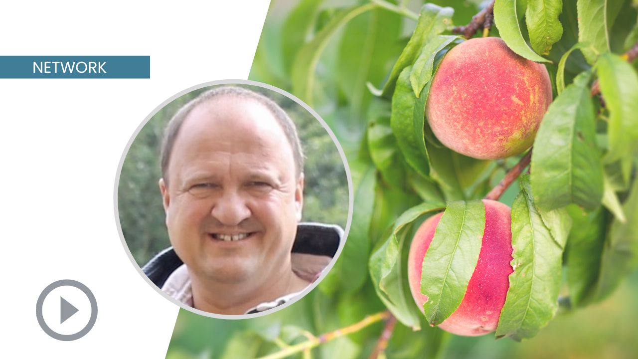 Be Fruitful and Multiply: Planting Churches | The Forum of Christian ...